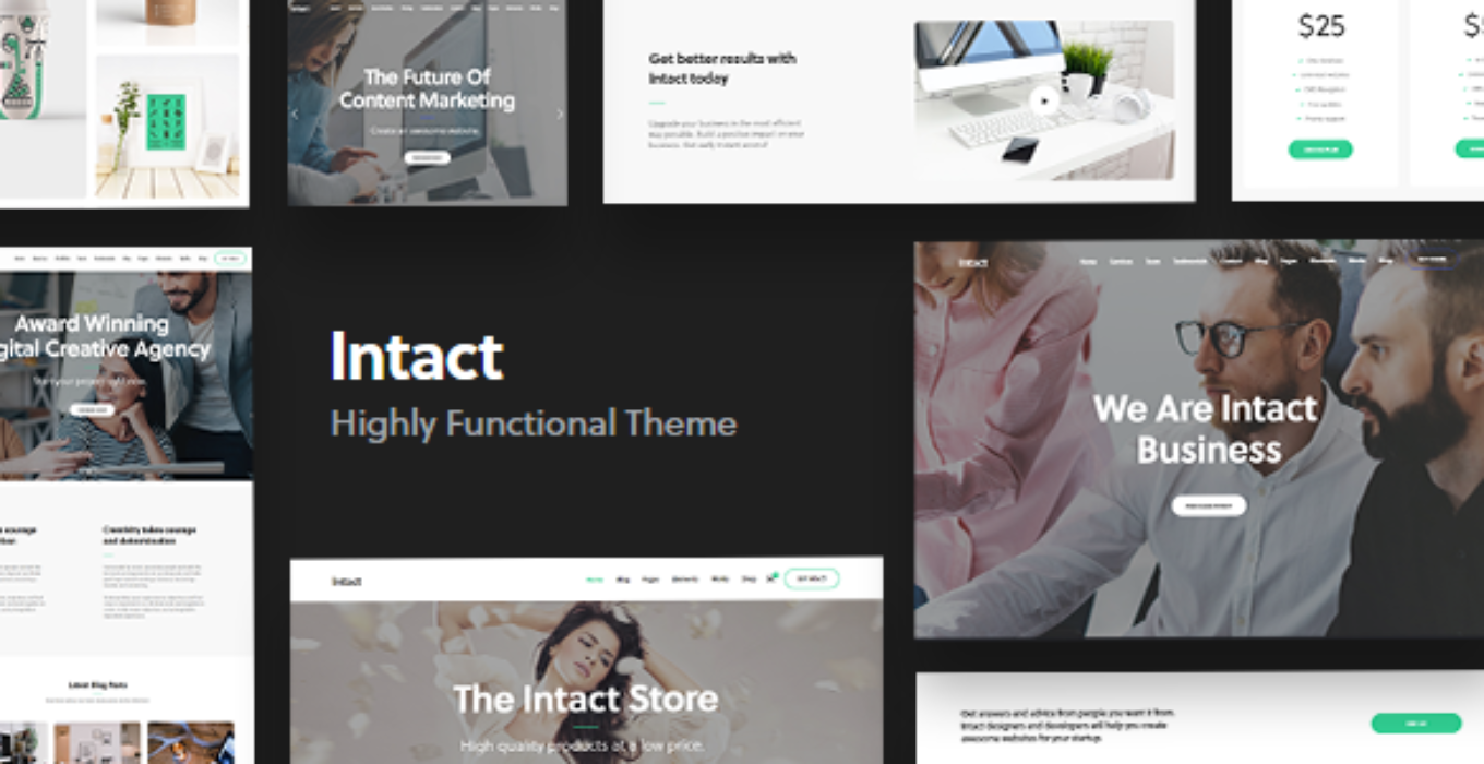 Intact – Premium Multi-Purpose WordPress Theme - wpnull24