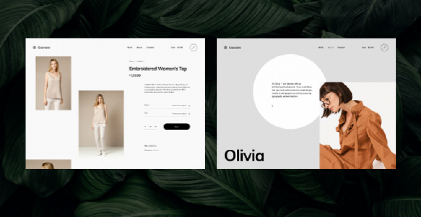 Saonara – Ajax Powered Multi-Concept WordPress Theme - wpnull24