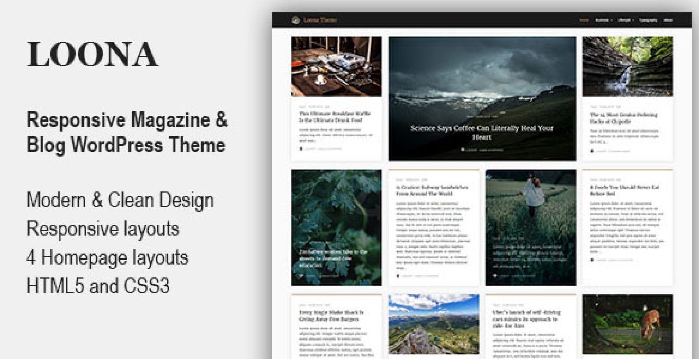 Loona – Personal Blog & Magazine WordPress Theme - wpnull24