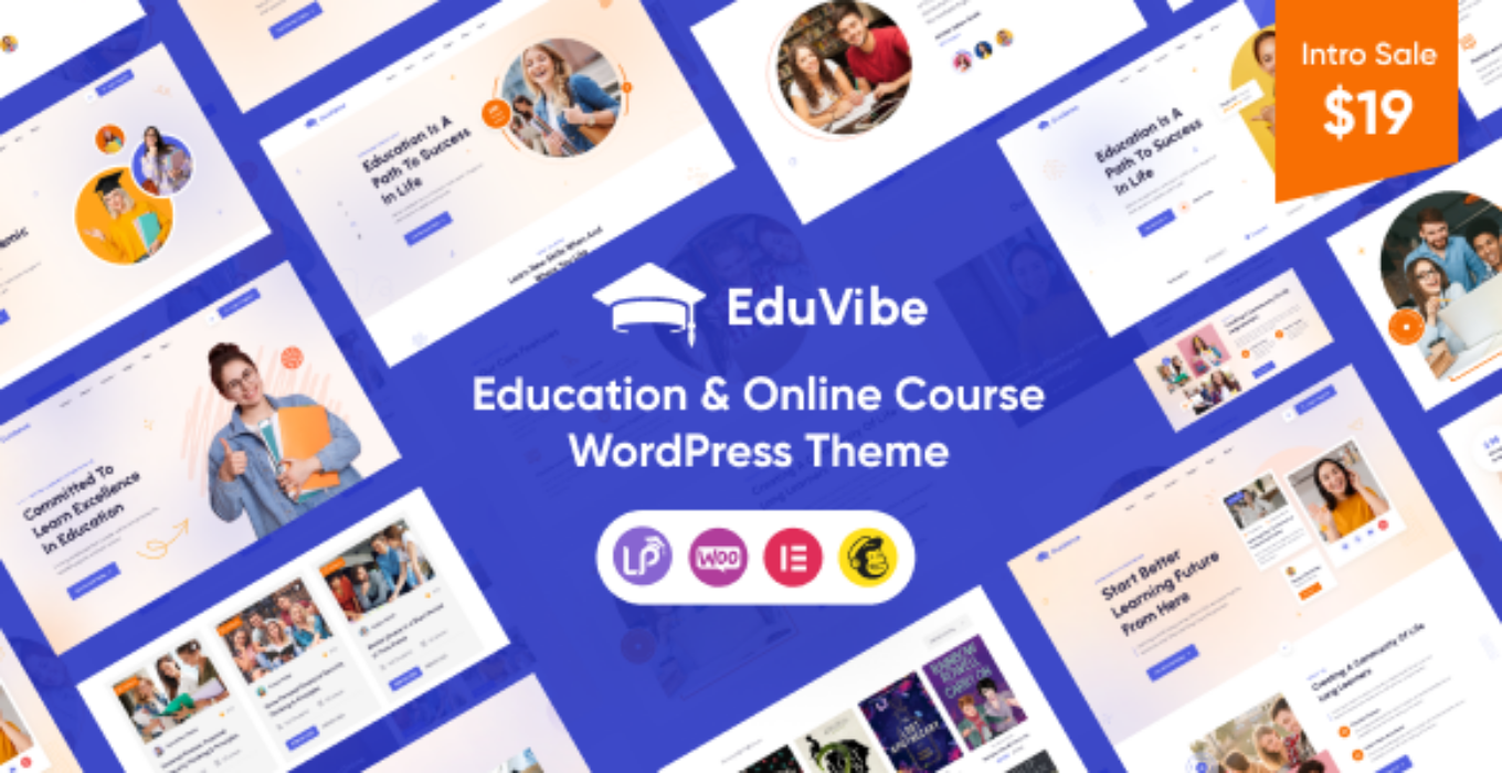 EduVibe – Education & Online Course WordPress Theme - wpnull24